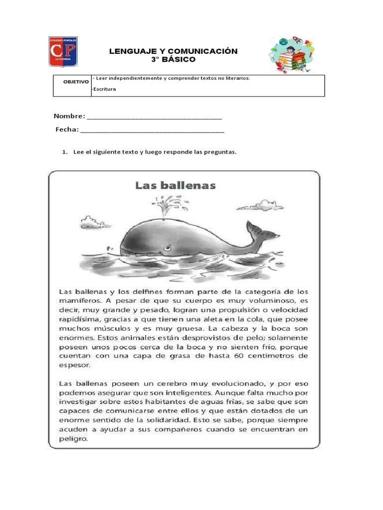 Comprensión Lectora Texto Informativo 3 | PDF