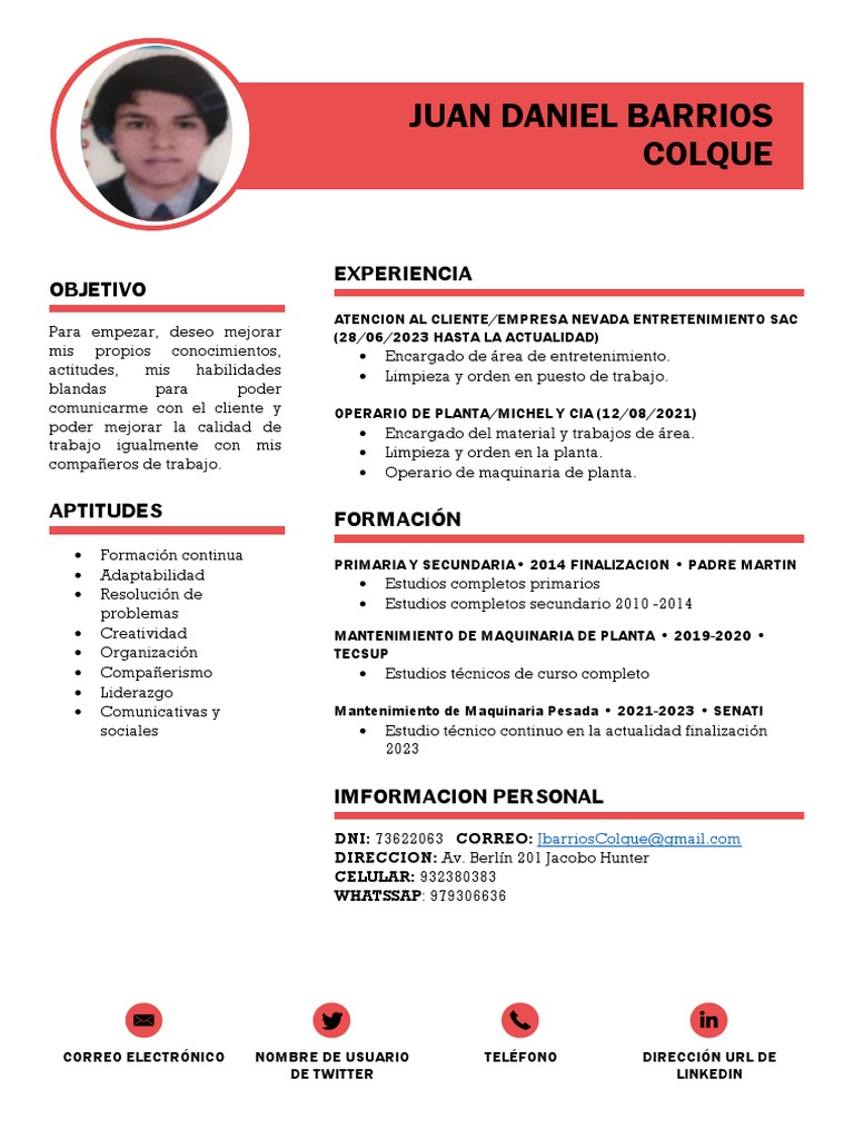 CV Actualizado BARRIOS | PDF