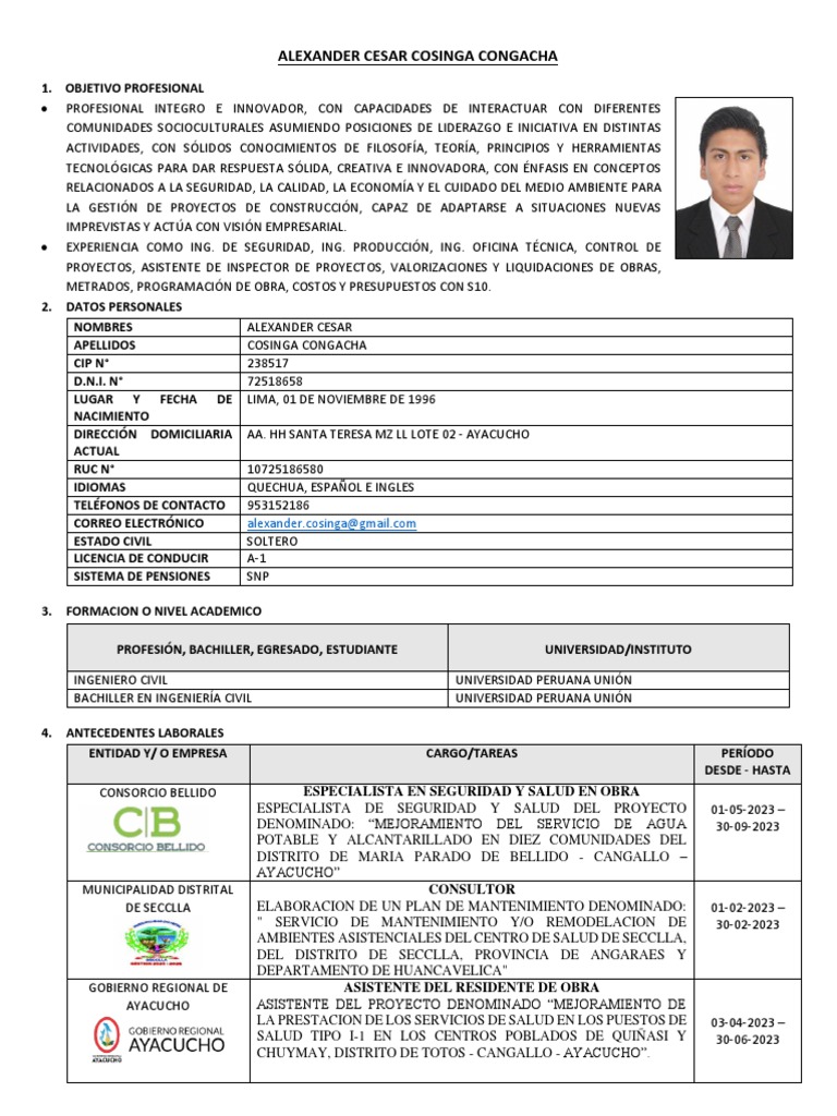 CV Actualizado Agosto 2023-Alexander Cosinga Congacha | PDF | Hogar y ...