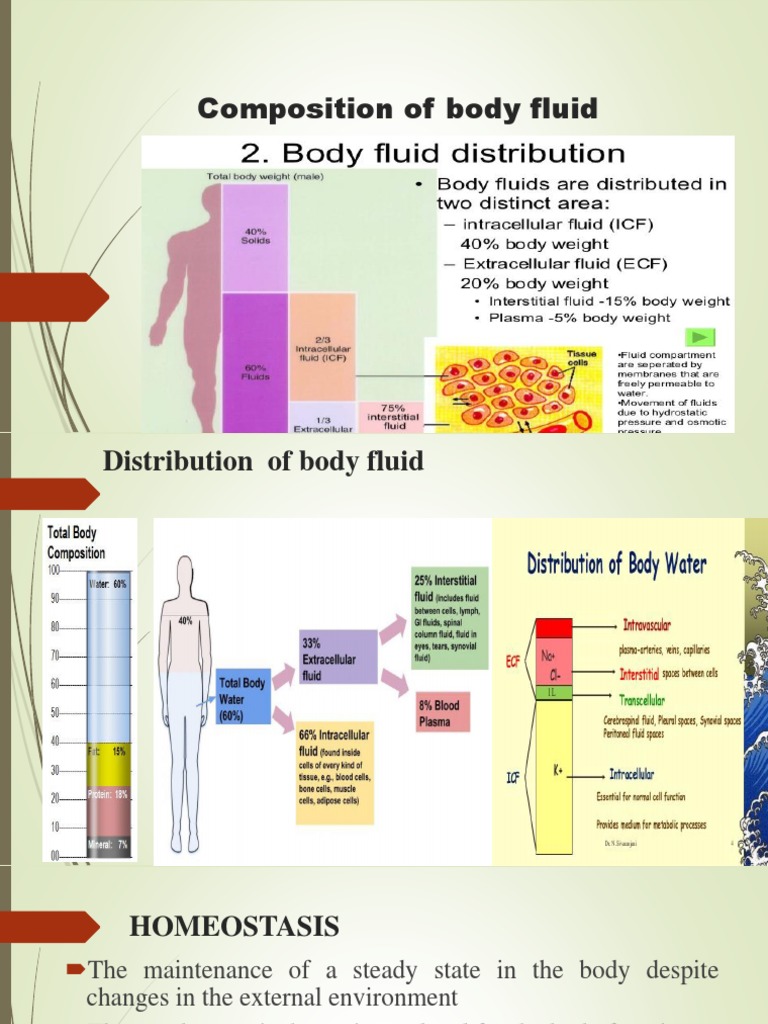 Composition of Body Fluid | PDF