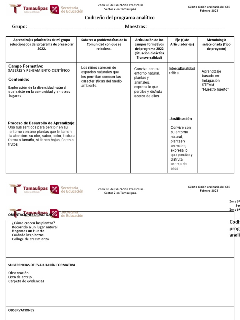 Codiseño Del Programa Analítico Saberes Y Pensamiento Cientifico Pdf