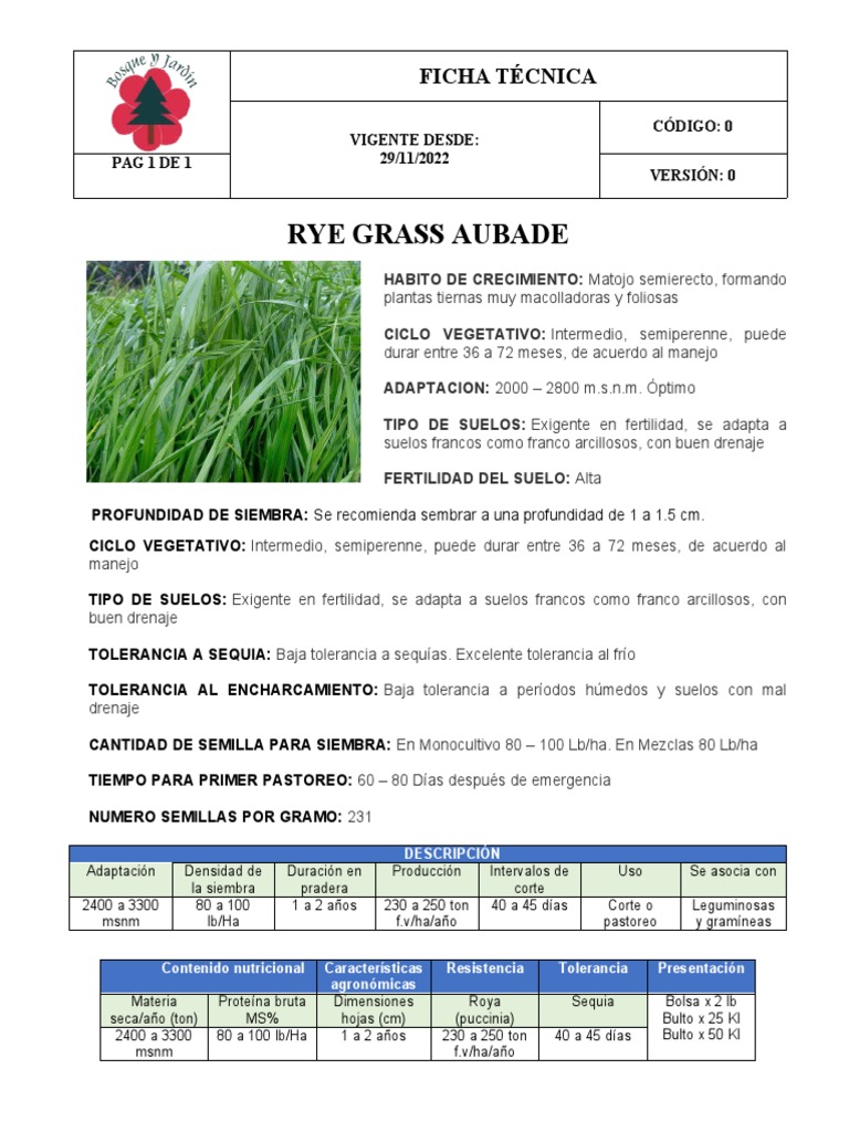 Ficha Rye Grass | PDF