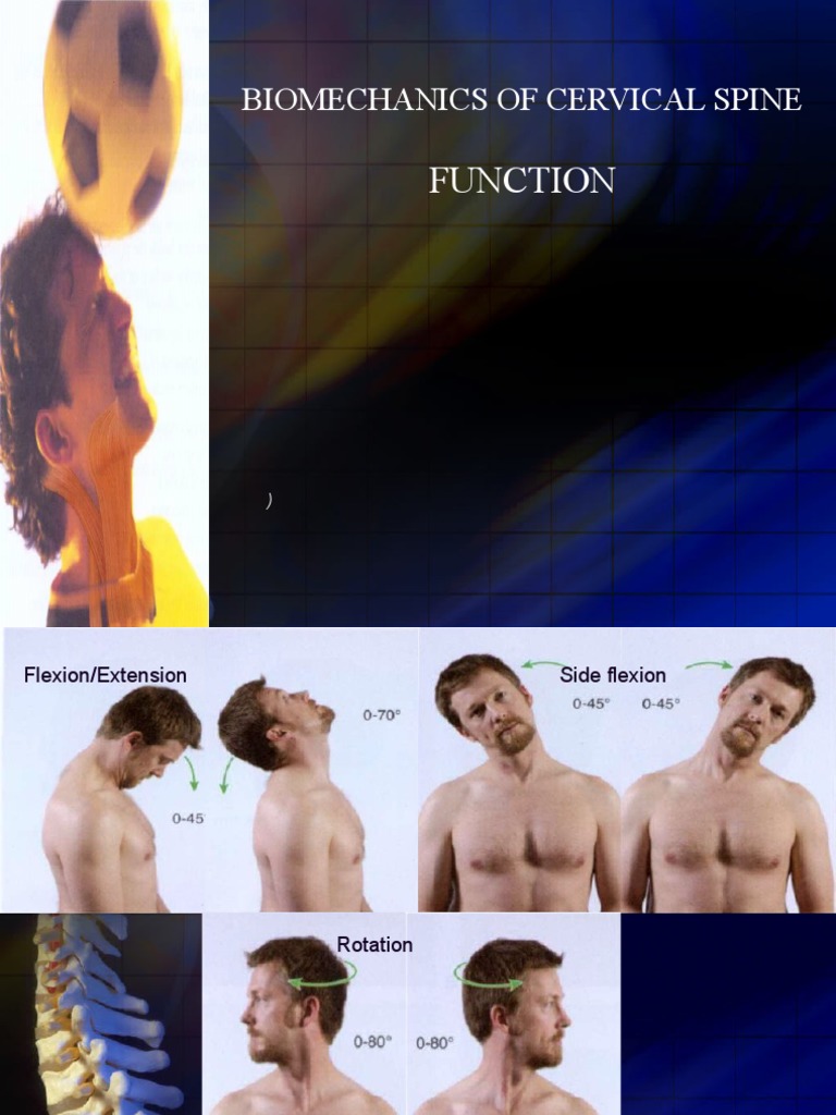 2-Bio-Mechanics Cervical Spine Function | PDF | Vertebral Column | Vertebra