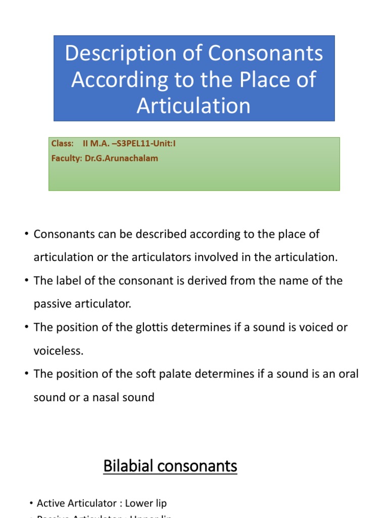 Consonant Articulation Overview | PDF | Phonetics | Human Voice