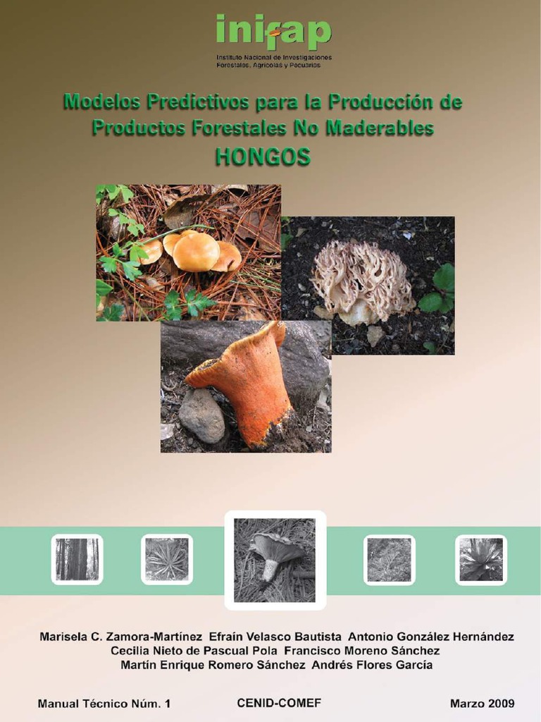 7 Modelos Predictivos para La Producción de Productos Forestales No ...