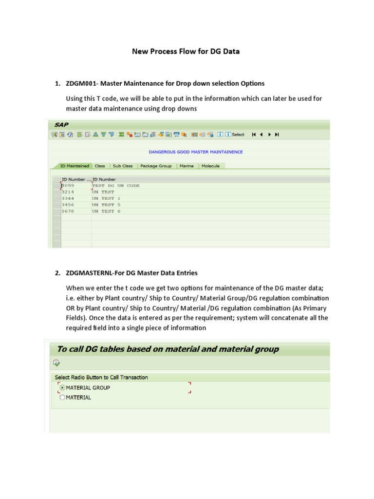 New Process Flow For DG Data | PDF | Computers | Technology & Engineering