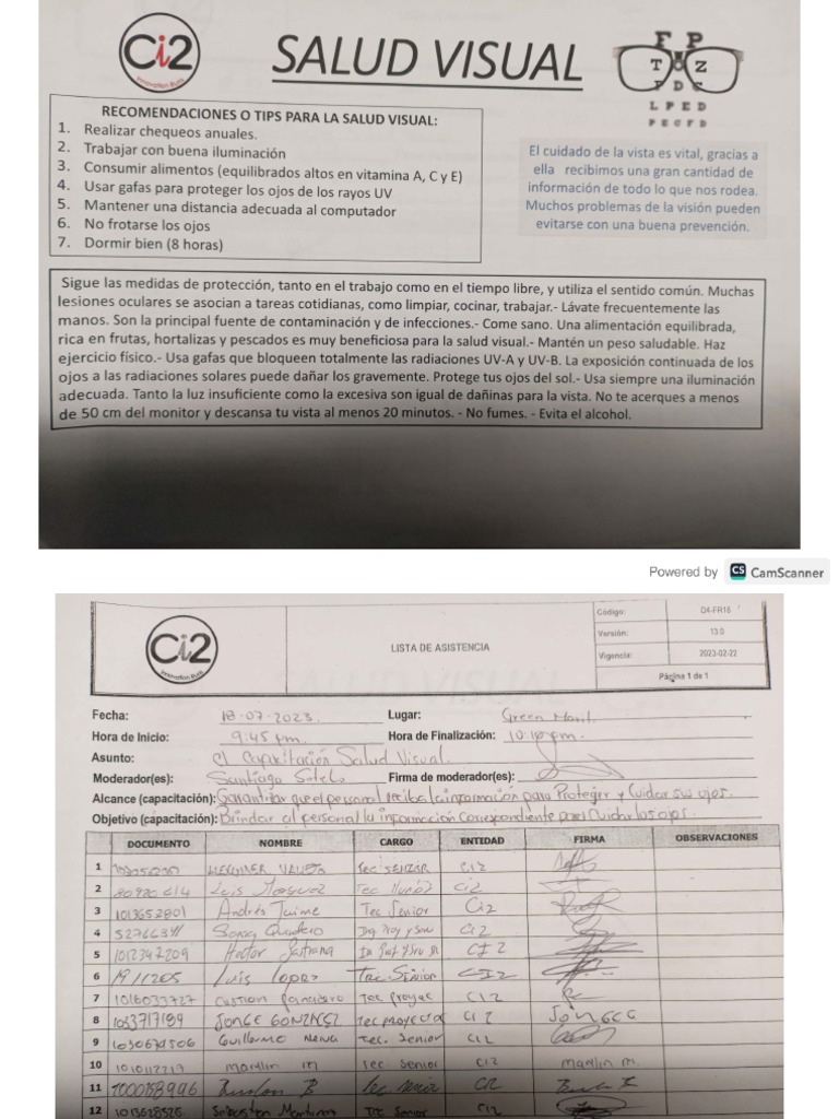 Charla SST Salud Visual | PDF