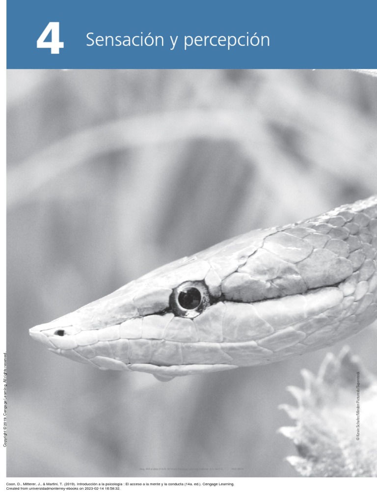 Introducción A La Psicología El Acceso A La Mente ... - (INTRODUCCIÓN A LA PSICOLOGÍA EL ACCESO ...