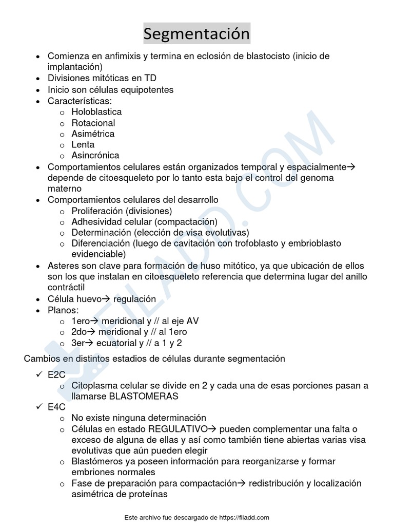 Segmentacion Pdf Biología Celular Biología