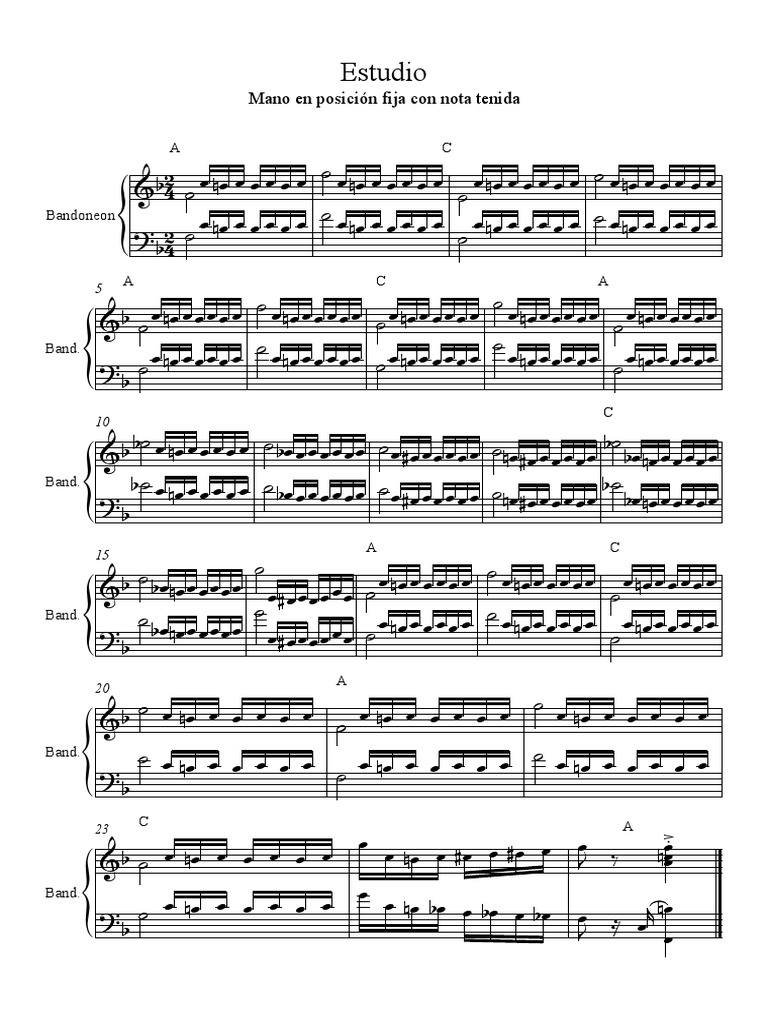 (Amijai Shalev) Estudio Mano Fija Con Nota Tenida | PDF