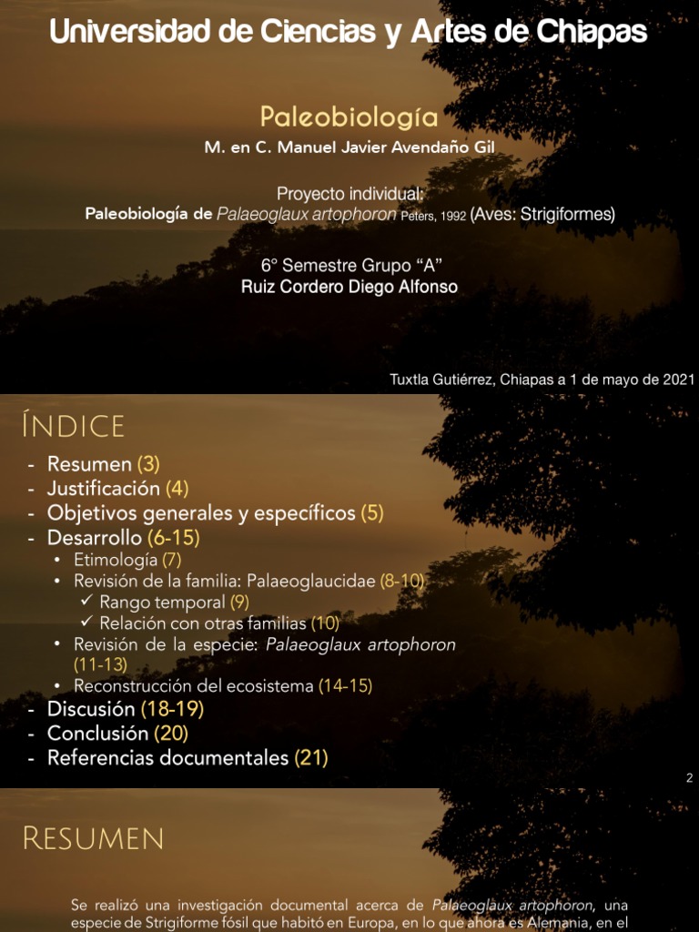 Paleobiología de Palaeoglaux artophoron | PDF