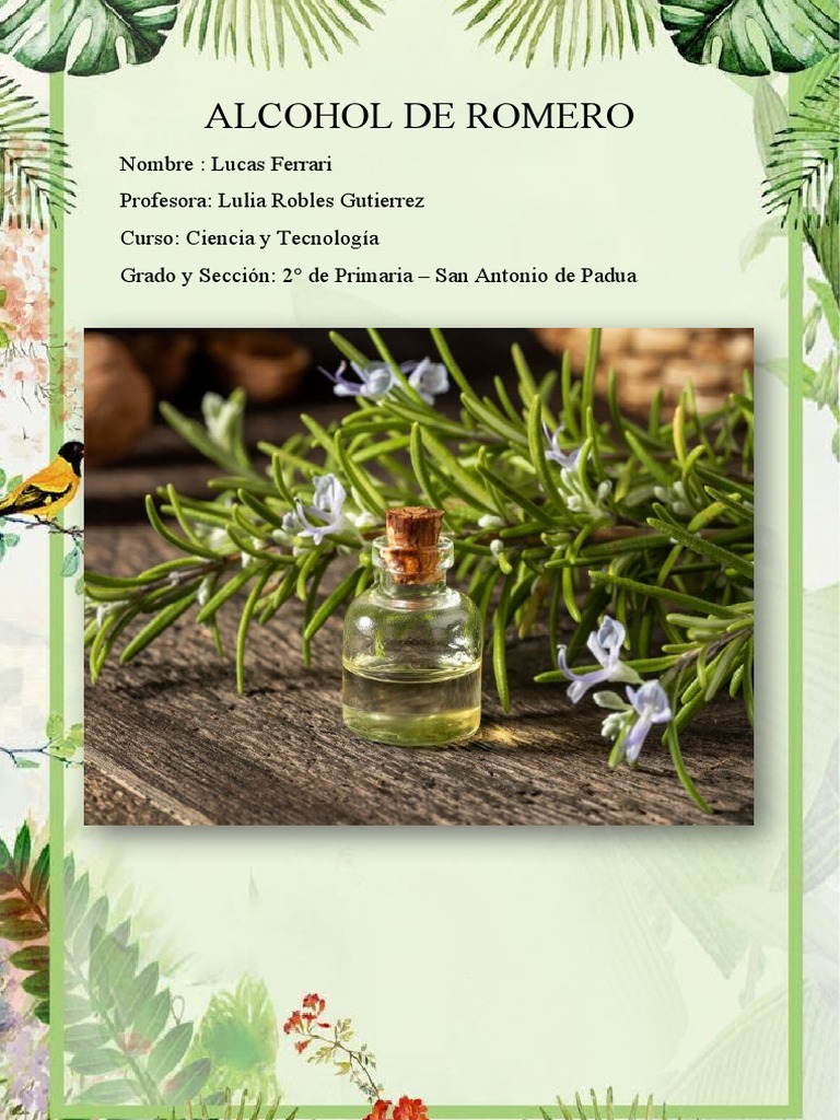 ALCOHOL DE ROMERo | PDF