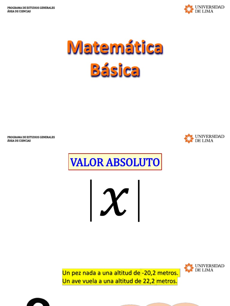 Valor Absoluto | PDF