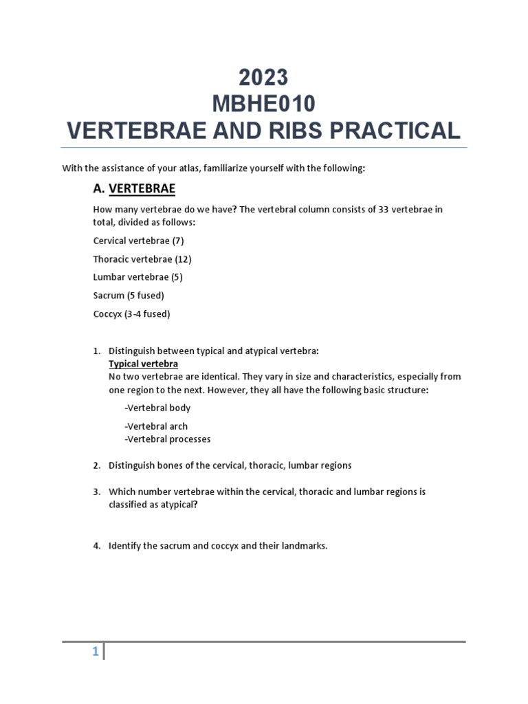 MBHE010 - Vertebra and Ribs - Practical Guide | PDF
