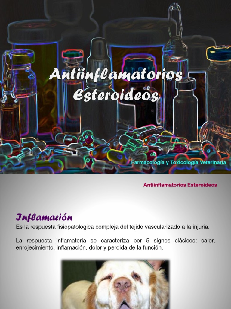 Uso y efectos de antiinflamatorios esteroideos | PDF