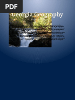 Georgia's Transport Economy | PDF | Georgia (U.S. State) | Cargo