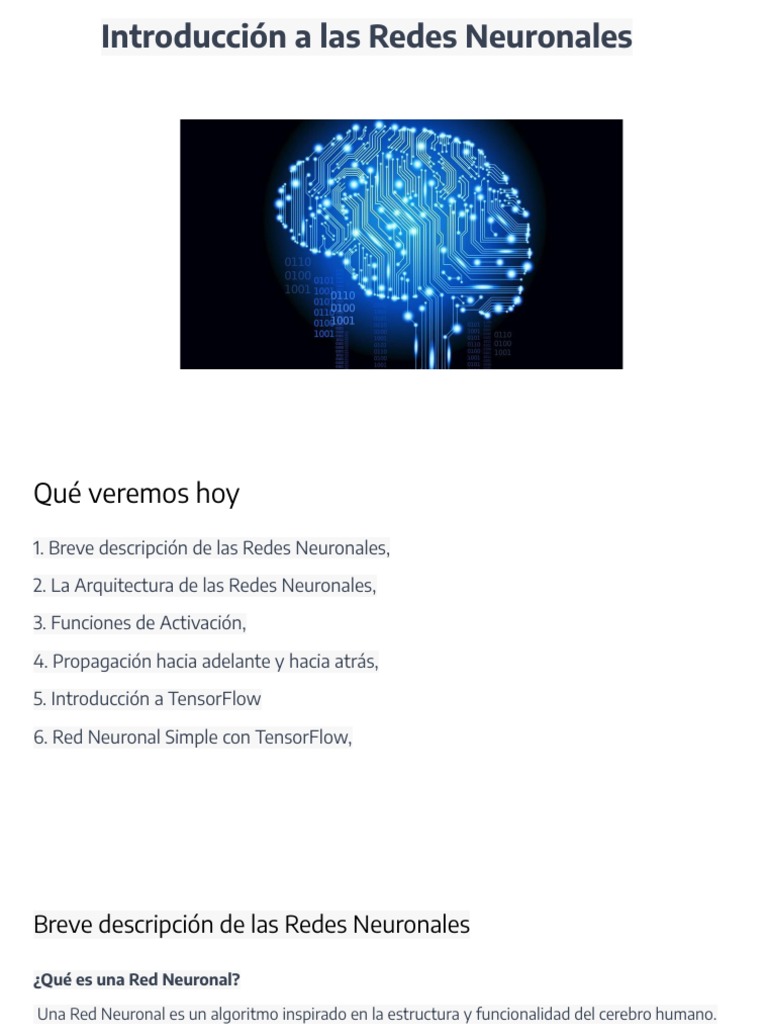 Introducción A Las Redes Neuronales | PDF