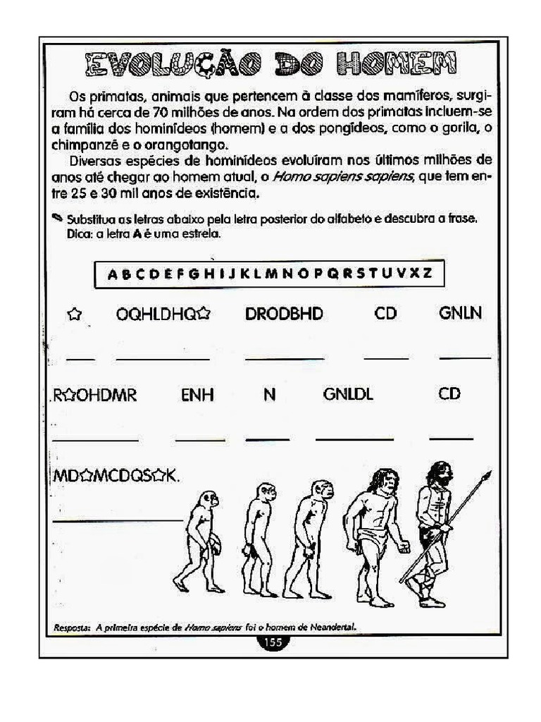 Atividade Sobre A Evolução Humana | PDF