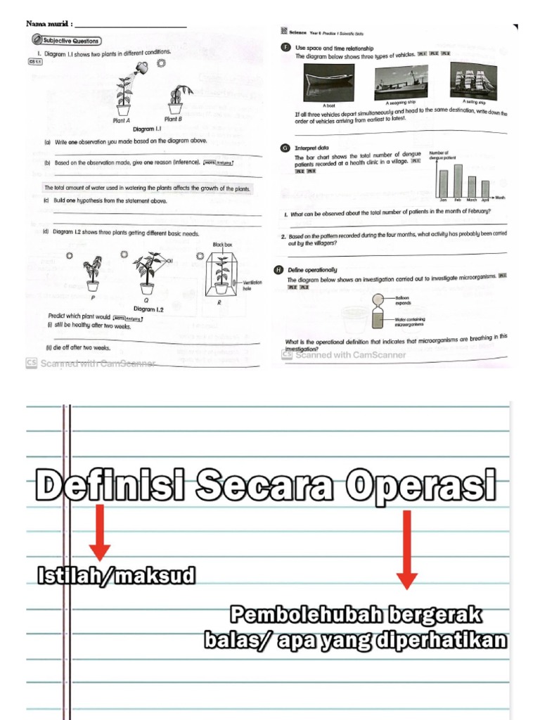 Worksheet Sains Tahun 6 | PDF