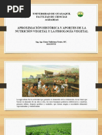 Apoplasto y Simplasto | PDF | Raíz | Biología Celular)