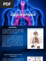 AZOADOS | PDF | Ciencia y matemáticas