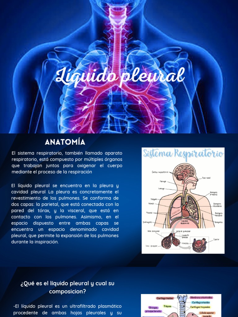 Líquido Pleural | PDF