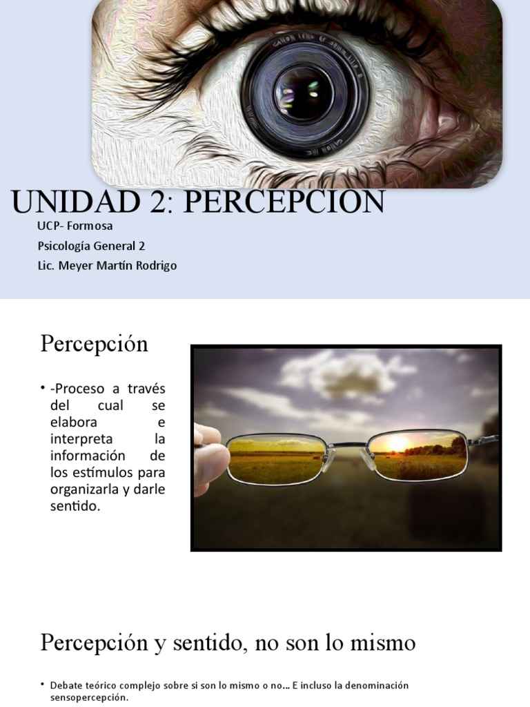 Percepción Subjetiva en Psicología | PDF | Percepción | Ciencias del ...