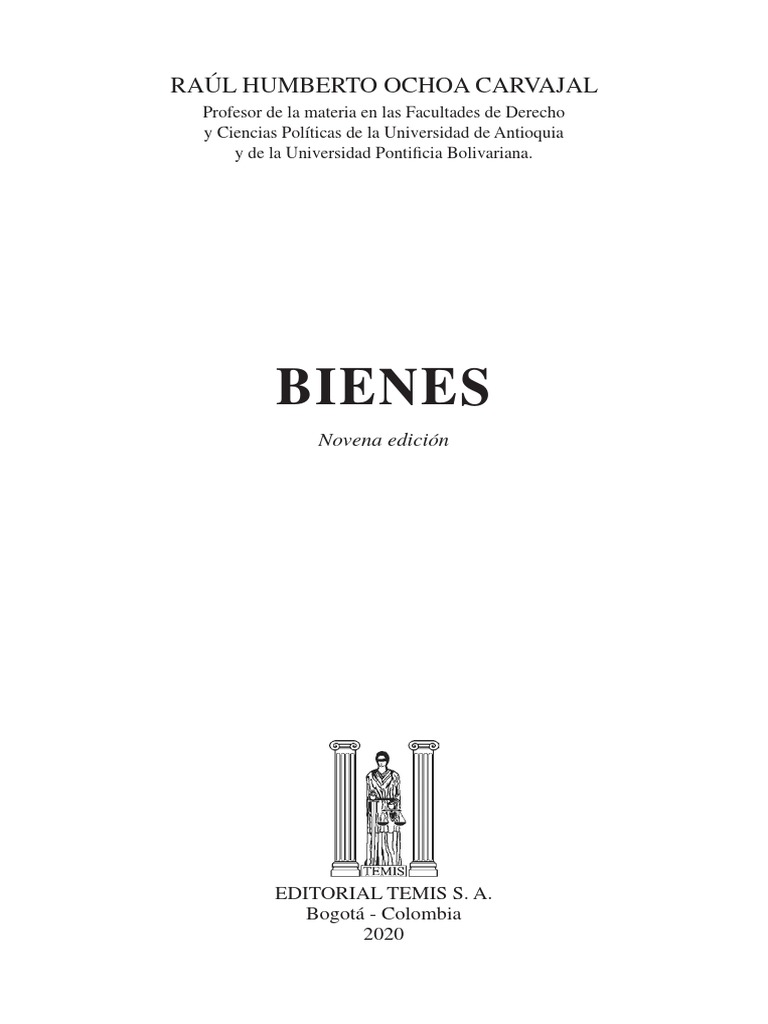 Bienes | PDF