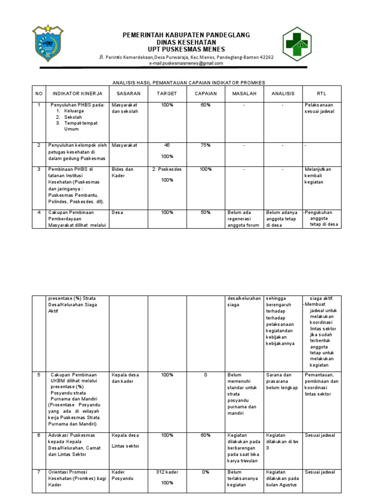 Hasil Pemantauan Capaian Program Promkes | PDF