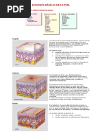 Macula o Mancha Definicion y Clasificacion | PDF