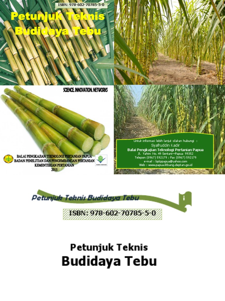 Petunjuk Teknis Budidaya Tebu | PDF
