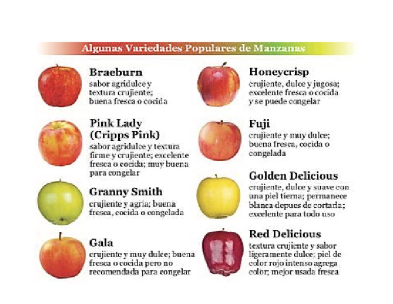 Tipos de Manzanas | PDF