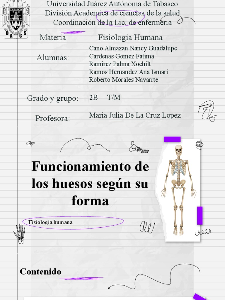 Funcion De Los Huesos Segun Su Forma Pdf Hueso Mano