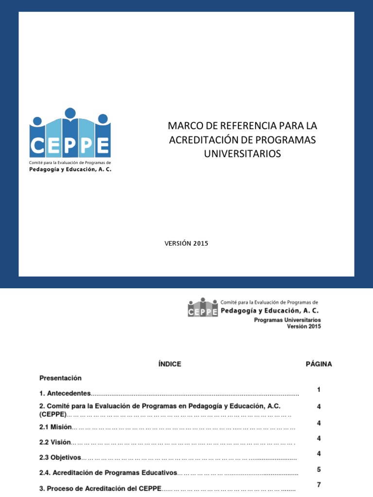 Marco de Referencia Programas Universitarios 2021 | PDF