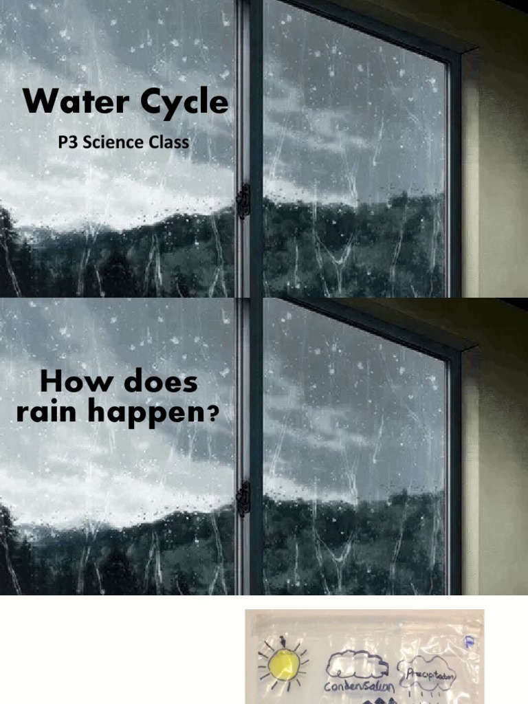 Water Cycle (P3) | PDF