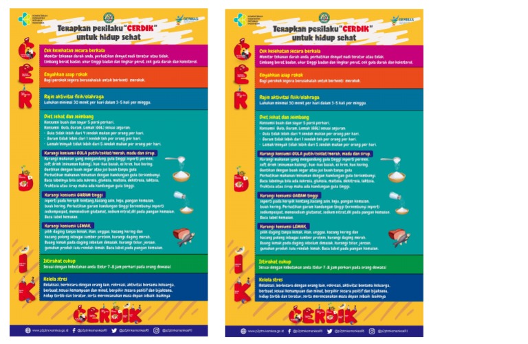 CERDIK PUSKESMAS MENTEBAH leaflet | PDF