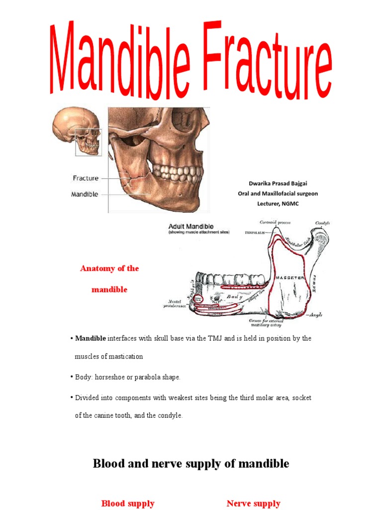 Mandible Fracture | PDF