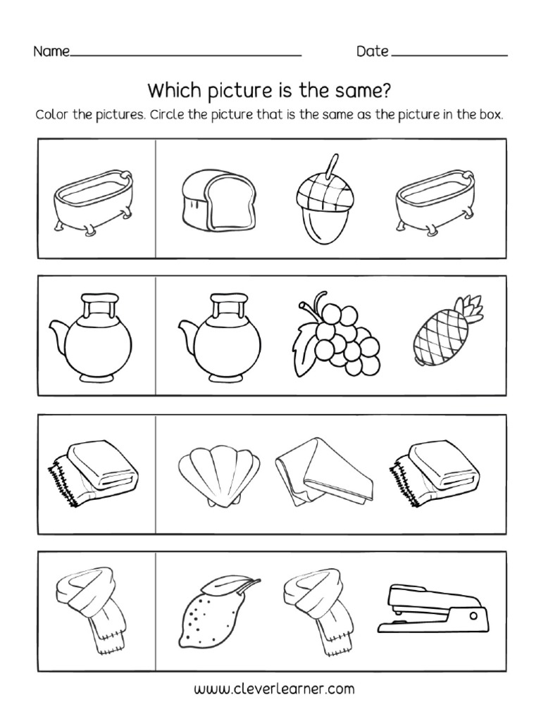 Preschool Same or Different Activity Worksheet 2z | PDF