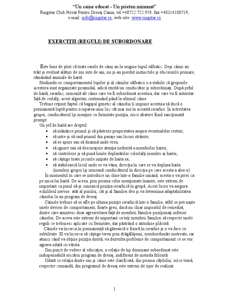 Exercitii-Reguli de Subordonare | PDF