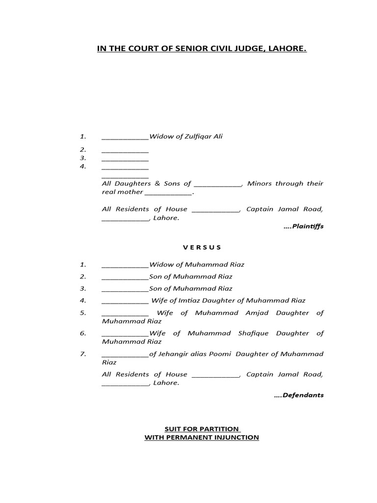 Suit For Partition | PDF