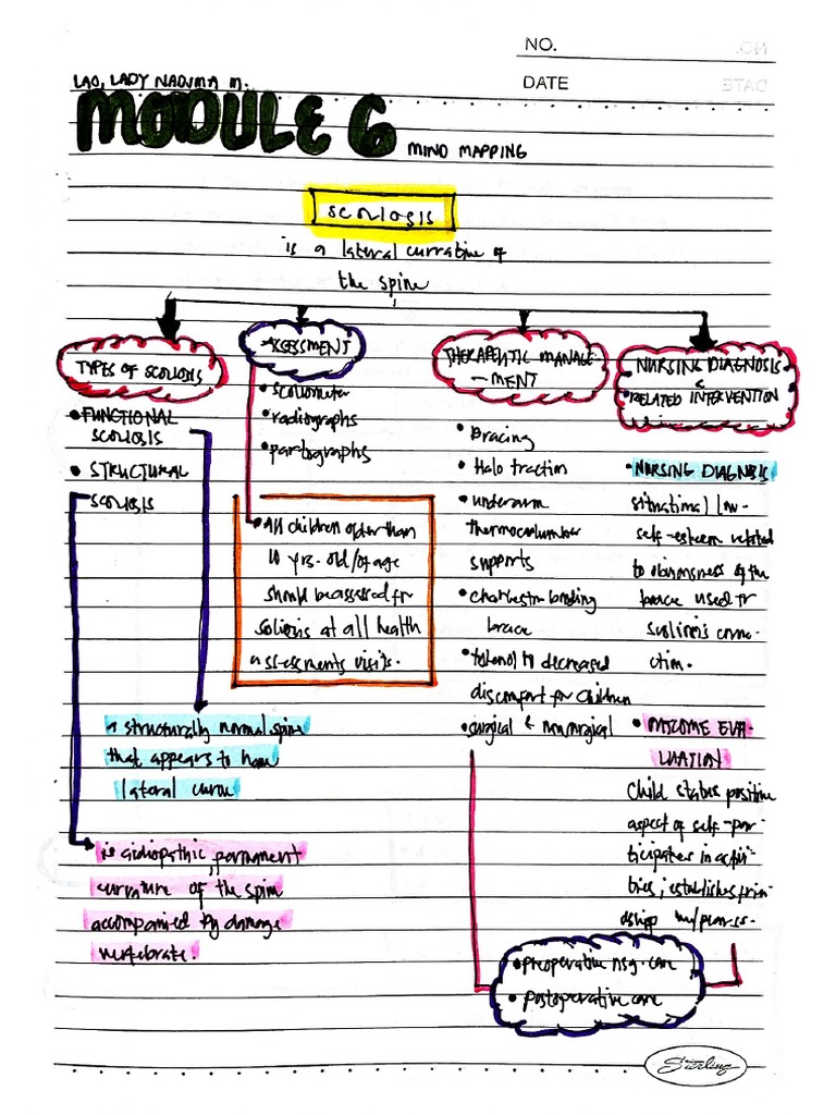 Module 6 Mind Mapping | PDF