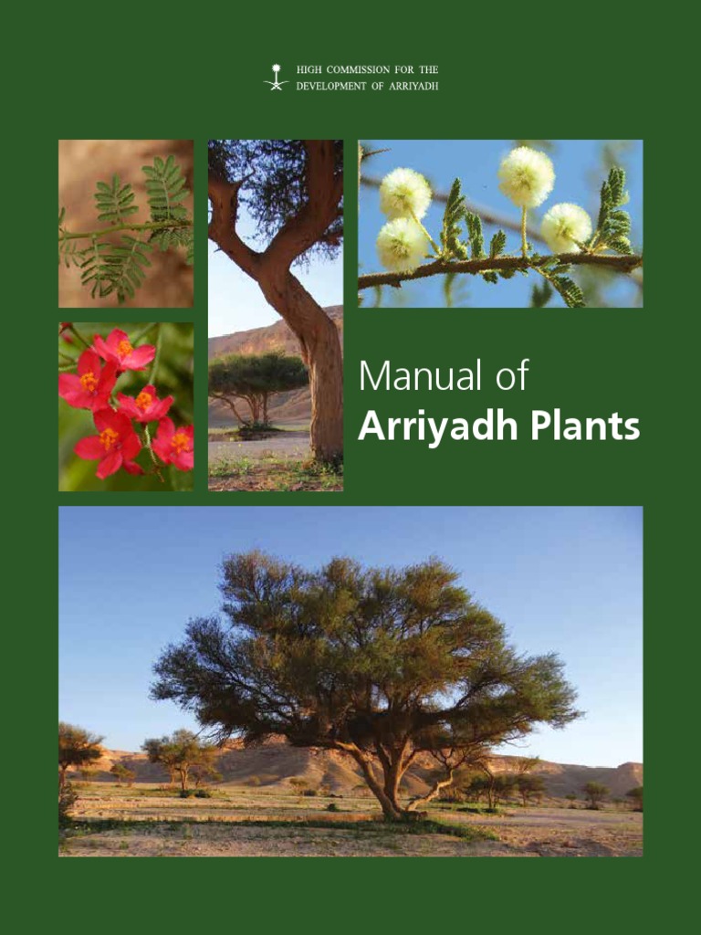 Part 1 Manual of Arriyadh Plants 1688890983 | PDF | Trees | Perennial Plant