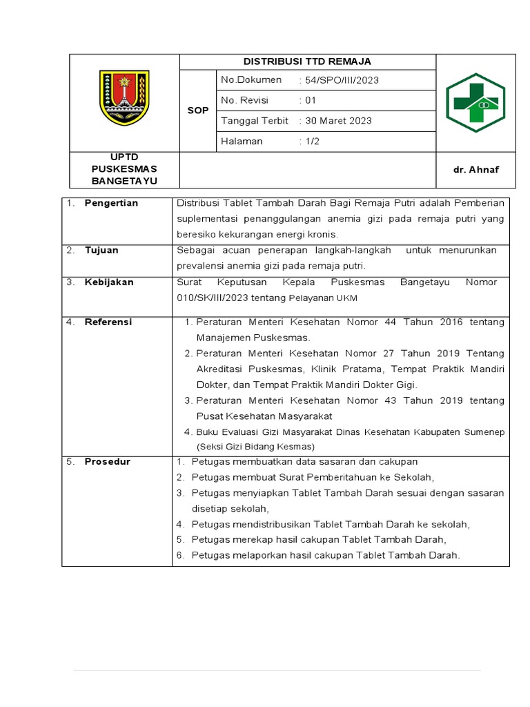 Distribusi TTD untuk Remaja Putri | PDF