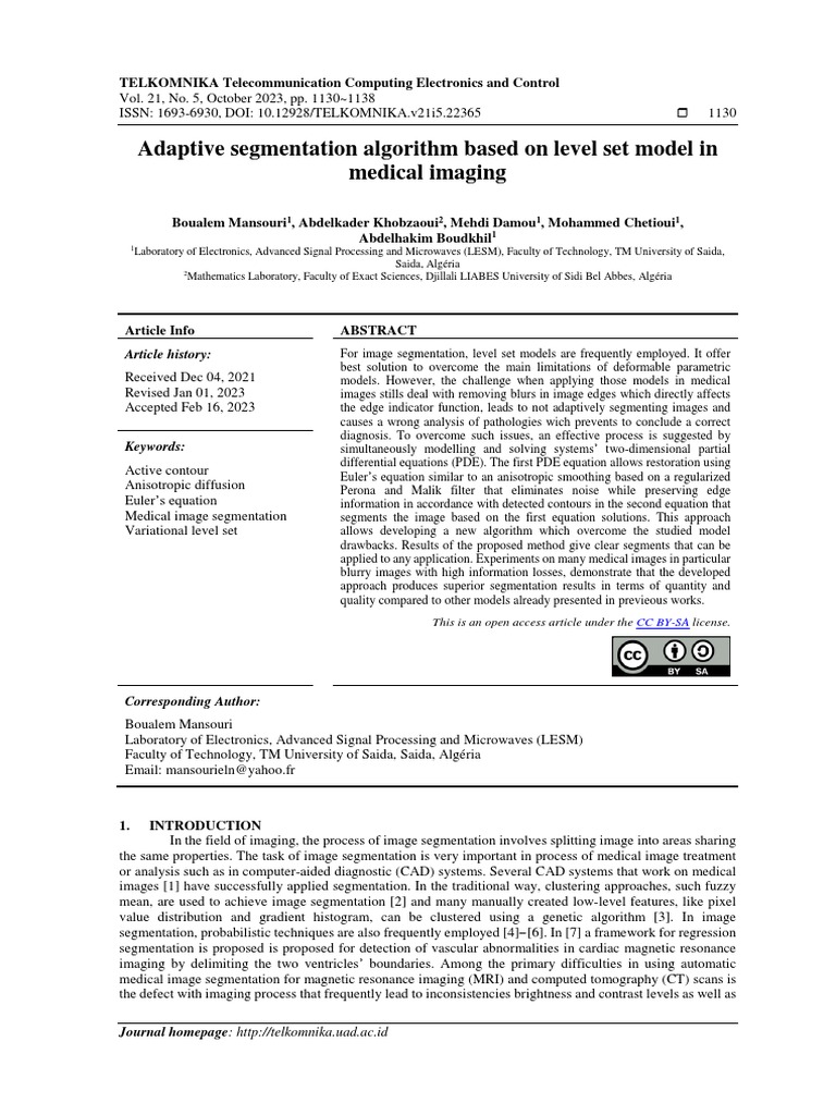 Adaptive Segmentation Algorithm Based On Level Set Model in Medical Imaging | Download Free PDF ...