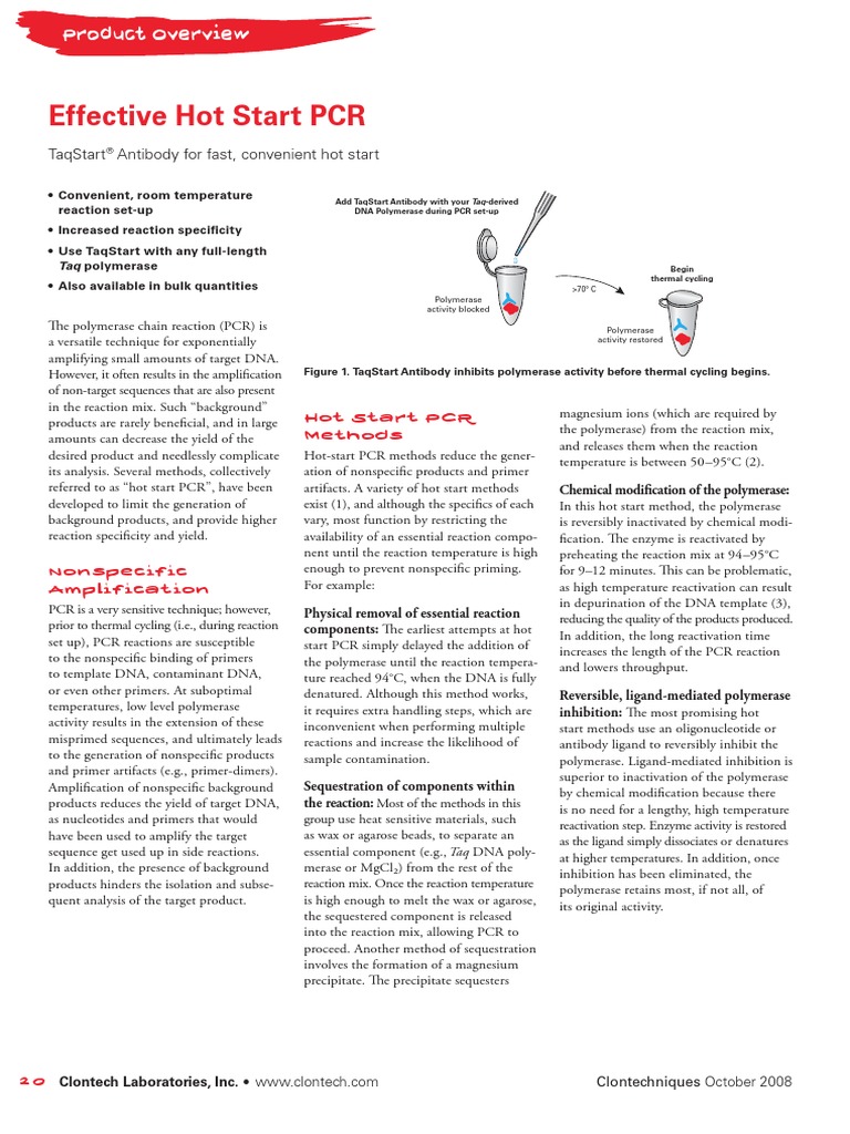 Hot Start PCR | PDF