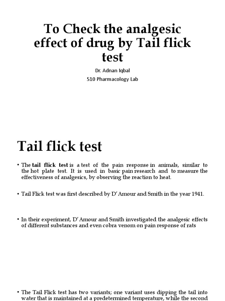 Tail Flick Method | PDF