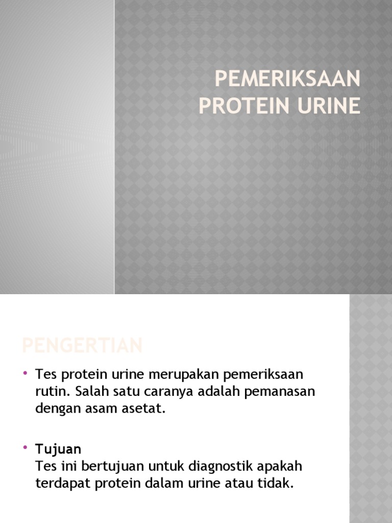 Pemeriksaan Protein Urine dan Prosedurnya | PDF