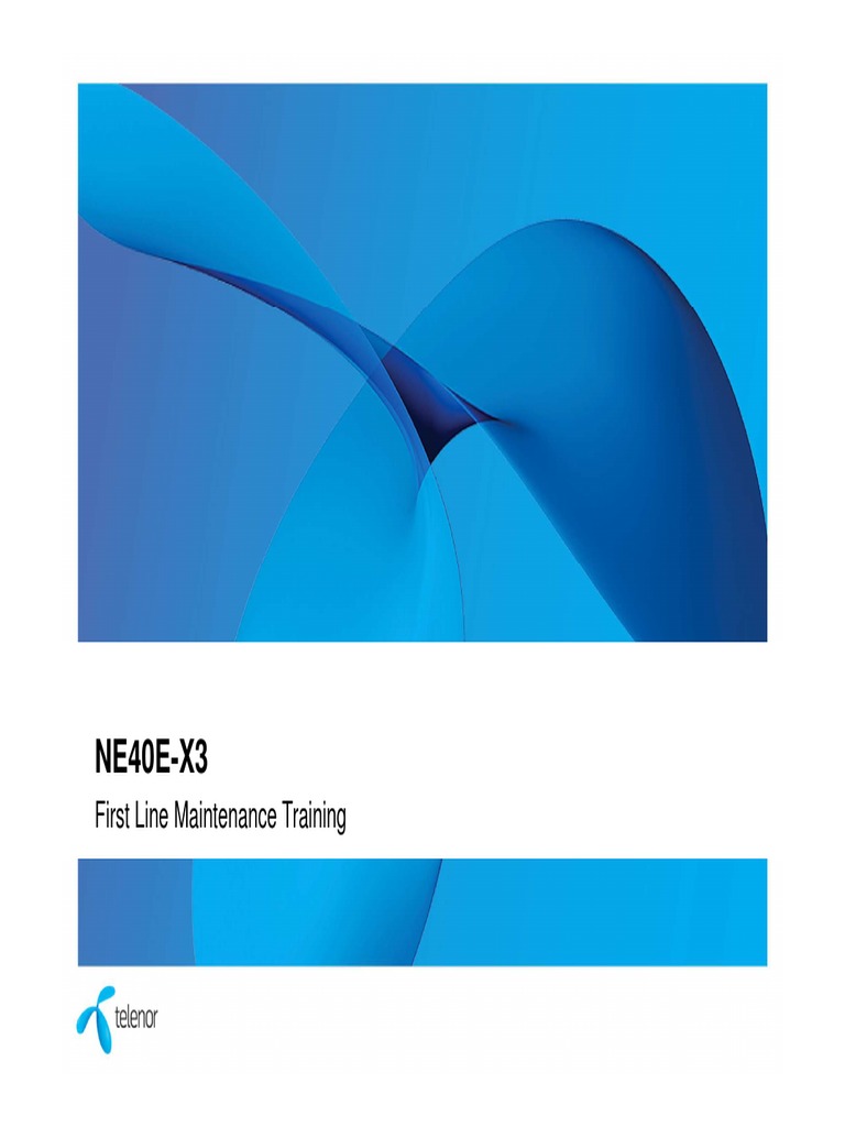 NE40 1st Line Maintenance | PDF