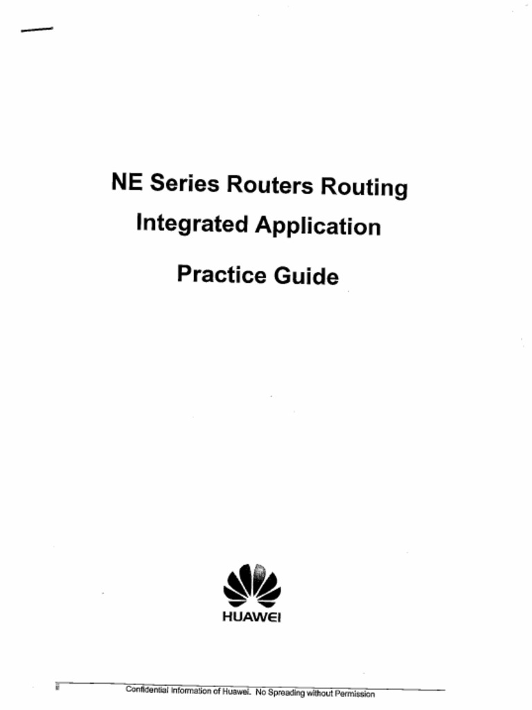 NE Series Routers Routing Integrated Application - Practice Guide | PDF