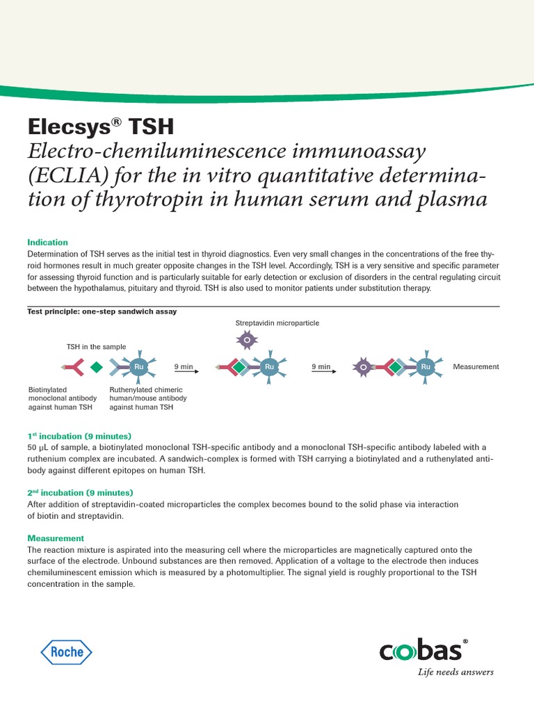 Roche Elecsys - TSH - FactSheet | PDF | Thyroid Stimulating Hormone | Hyperthyroidism